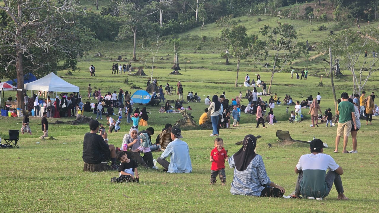Bukit Kebo: Dari Peternakan Kerbau Menjadi Simbol Baru Wisata Hijau ...